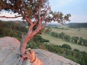 Castlewood Canyon State Park - Franktown, CO - Uncover Colorado