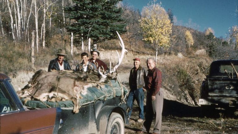 Colorado Hunting | Public Hunting Lands, Licenses, Tags, Guides, and ...