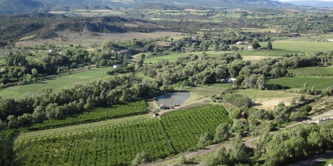 Colorado Wineries and Meaderies | List + Map - Uncover Colorado