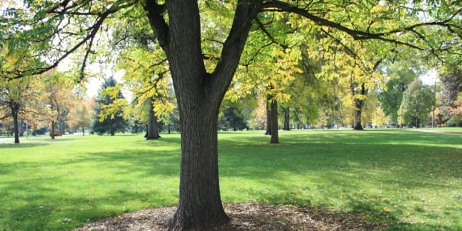 8 Impressive City Parks In Denver, CO - Uncover Colorado