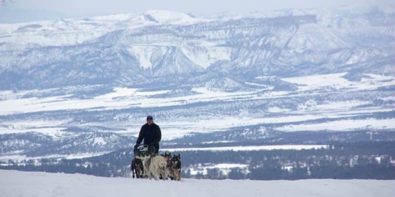 Dogs With Heart: Durango Dog Ranch Sled Tours | Dog sled tour in ...