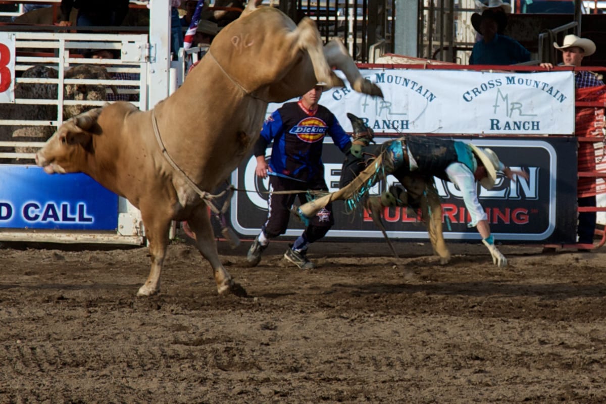 Steamboat Springs Pro Rodeo Series | 2020 June, July, August Western ...