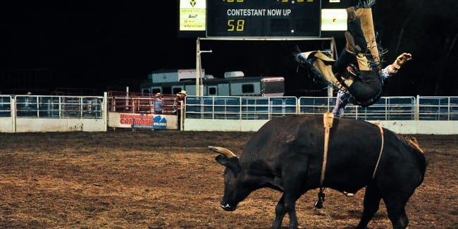 Steamboat Springs Pro Rodeo Series | 2020 June, July, August Western ...