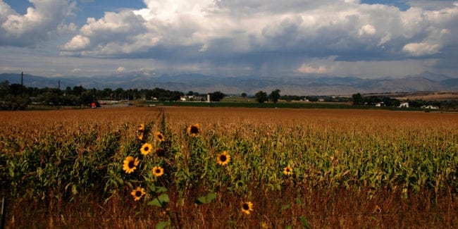 Lafayette, Colorado | Boulder County - Uncover Colorado