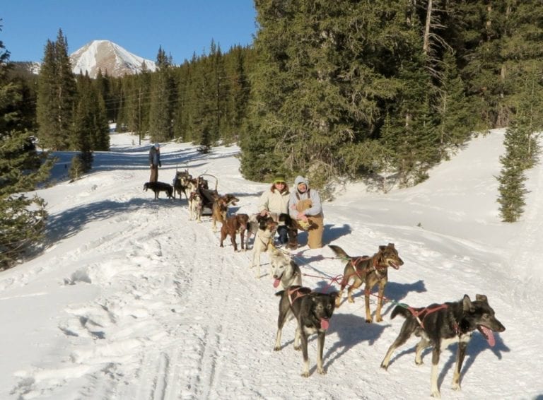 Monarch Dog Sled Rides - Salida, CO | Dog Sledding Tours in Chaffee ...