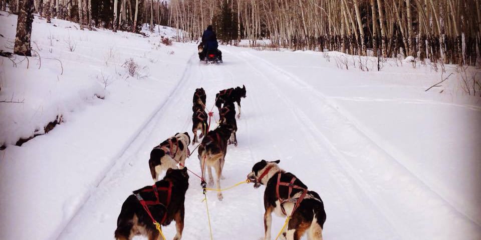 Monarch Dog Sled Rides - Salida, CO | Dog Sledding Tours in Chaffee ...