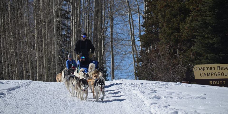 Snow Buddy Sled Dog Adventures - Oak Creek, CO | Dog Sledding near ...