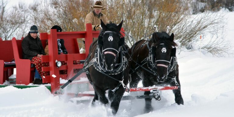 Colorado Sleigh Rides | List + Map - Uncover Colorado