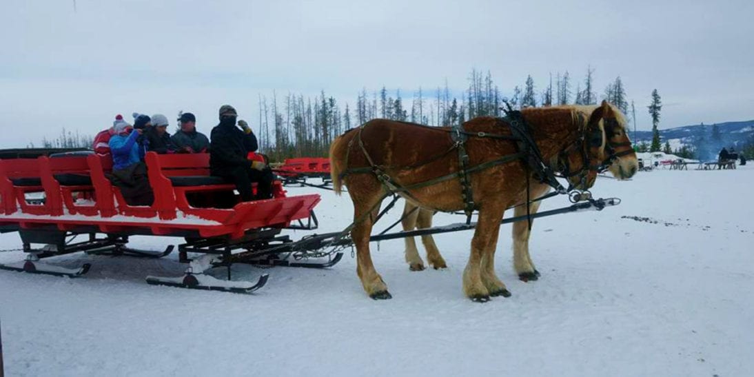 Colorado Sleigh Rides | List + Map - Uncover Colorado