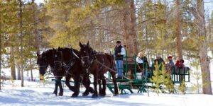 Colorado Sleigh Rides | List + Map - Uncover Colorado