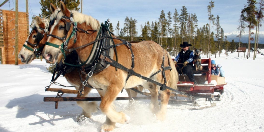 Snowshoe Sleigh Rides