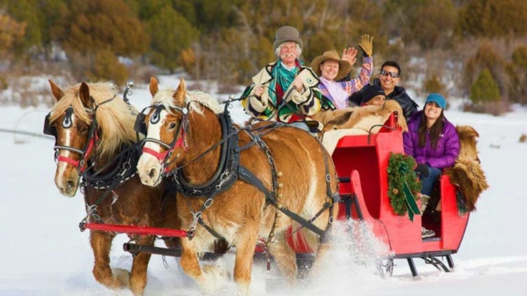 Telluride Horseback Adventures Sleigh Ride Tours | Winter sleigh rides ...