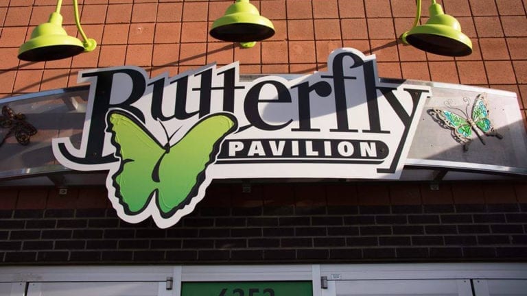 Butterfly Pavilion - Westminster, CO - Uncover Colorado