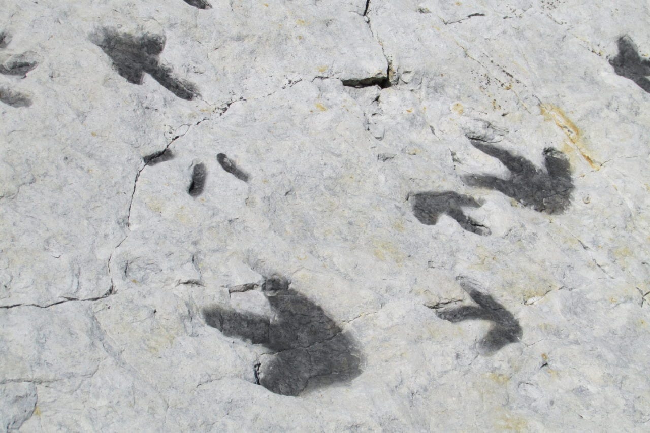 Dinosaur Ridge—Morrison-Golden Fossil Areas - Jefferson County, CO ...