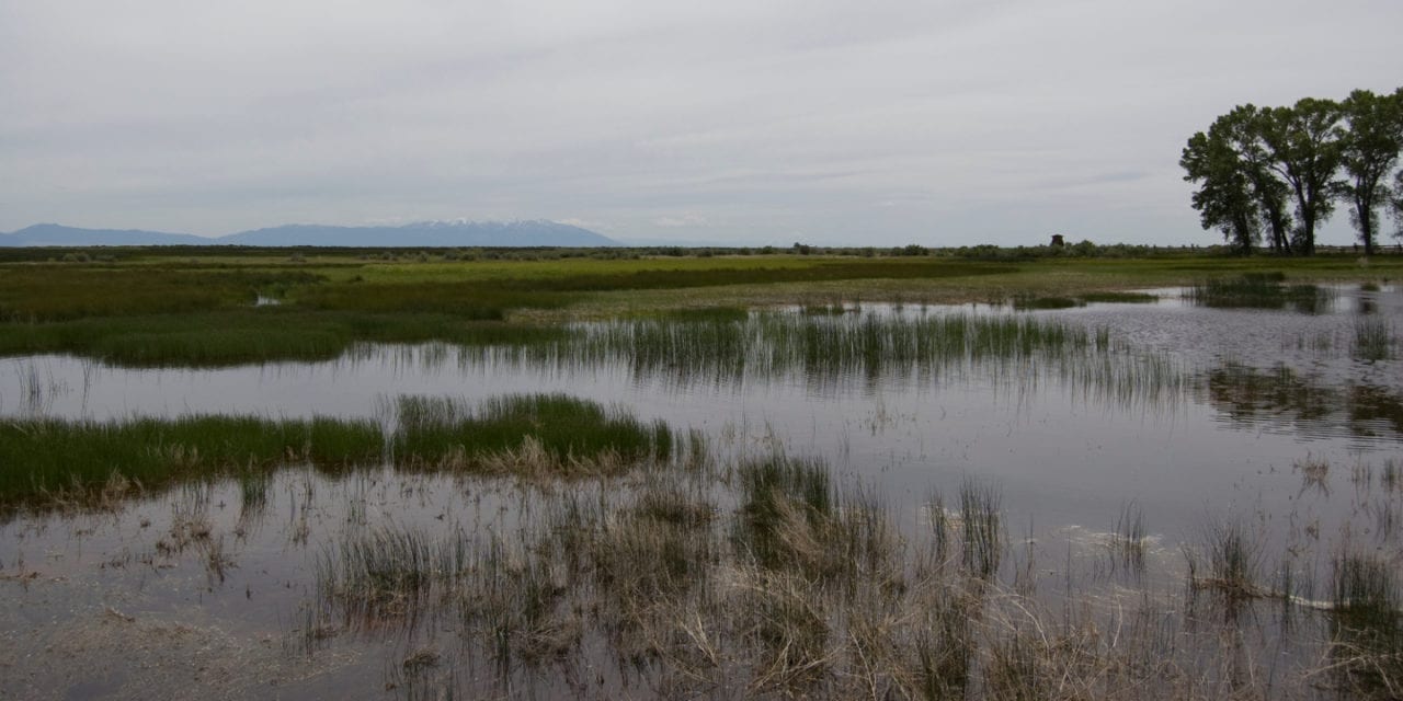 Russell Lakes State Wildlife Area - Sagauche, CO - Uncover Colorado
