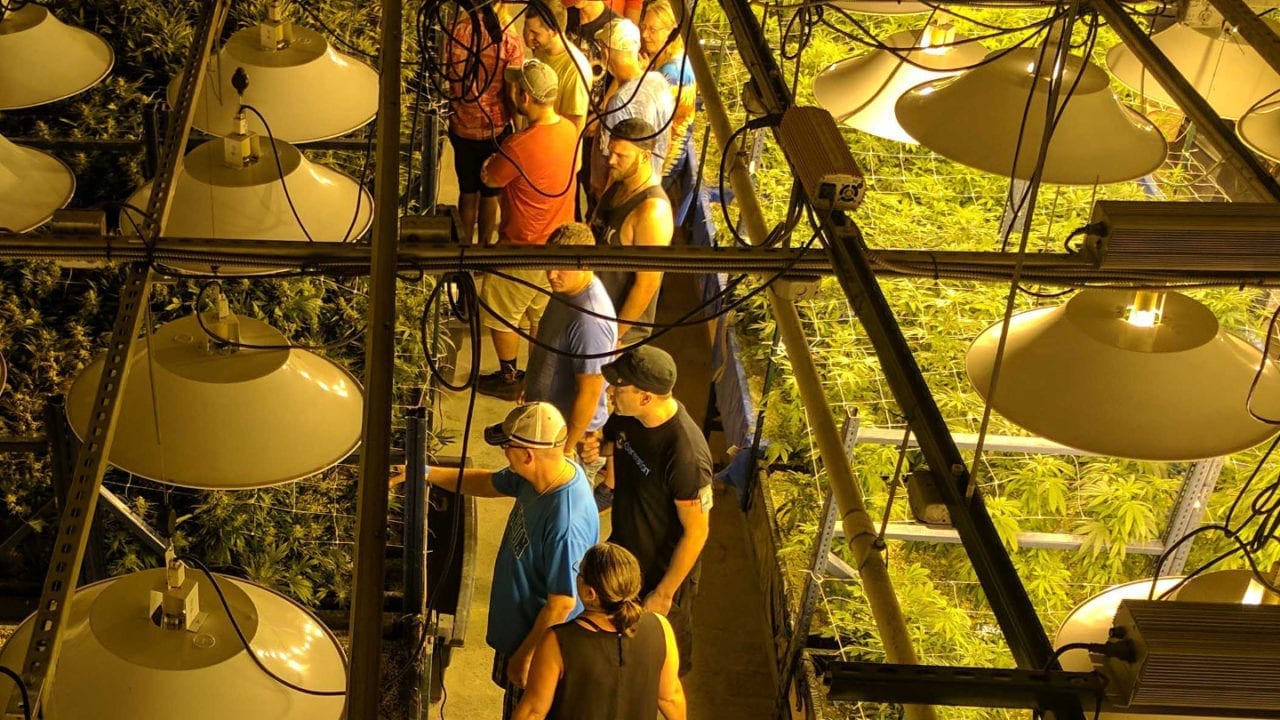 Colorado Marijuana Tours | List + Map - Uncover Colorado