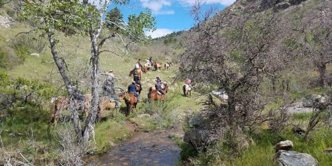 Sylvan Dale Guest Ranch | Working dude ranch in Loveland, CO