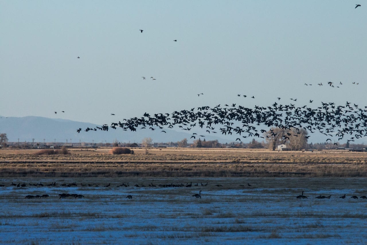 Monte Vista, Colorado | Rio Grande County - Uncover Colorado