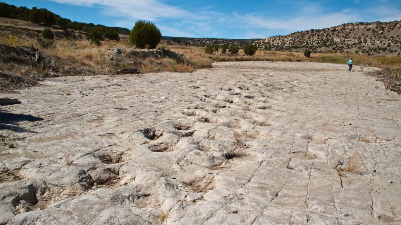 Picketwire Canyonlands - La Junta | Dino Tracks, Rock Art, Ruins ...