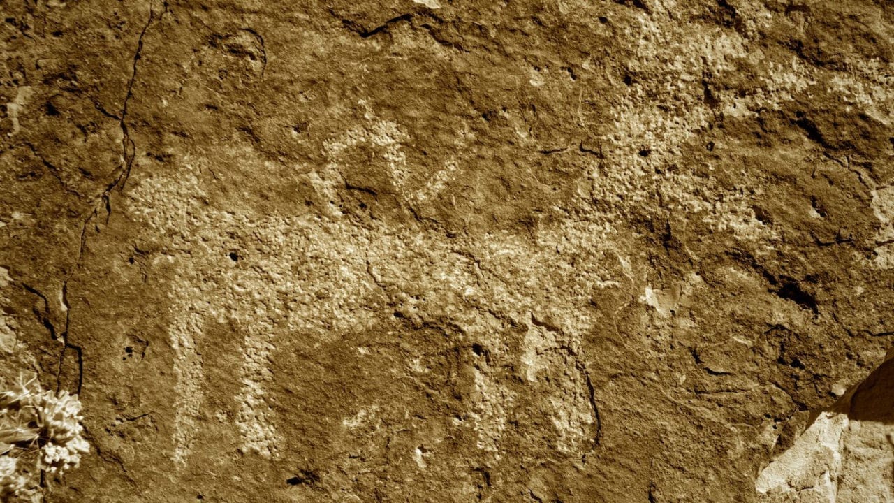 Picketwire Canyonlands - La Junta | Dino Tracks, Rock Art, Ruins ...