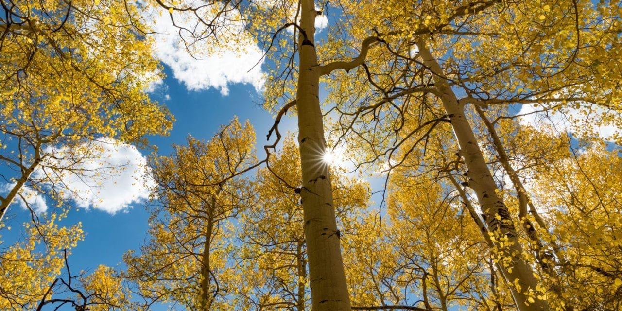 3 Reasons to Seek Gold at Boreas Pass this Autumn | Fall Colors on ...
