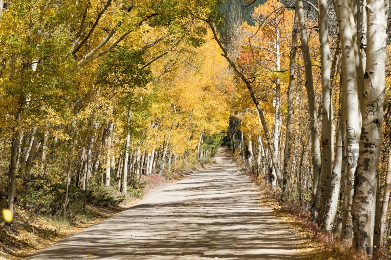 3 Reasons to Seek Gold at Boreas Pass this Autumn | Fall Colors on ...