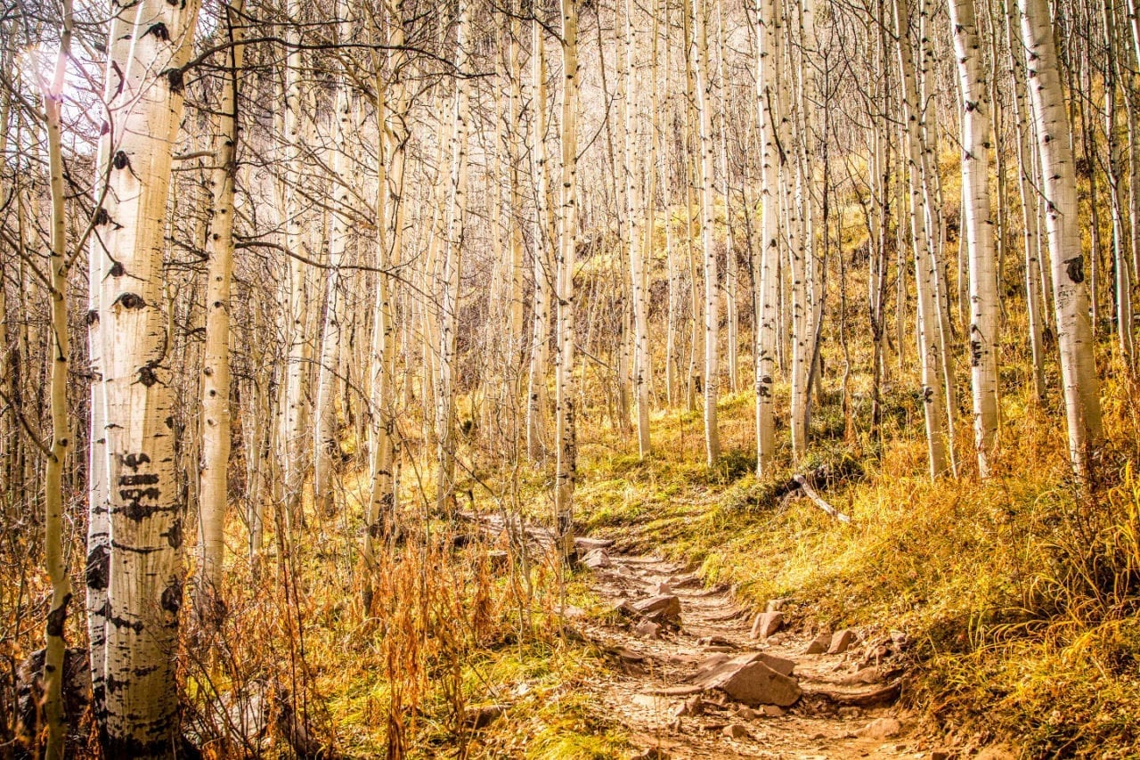 6 Outstanding Overnight Backpacking Hikes in Colorado | Best Multi-Day ...