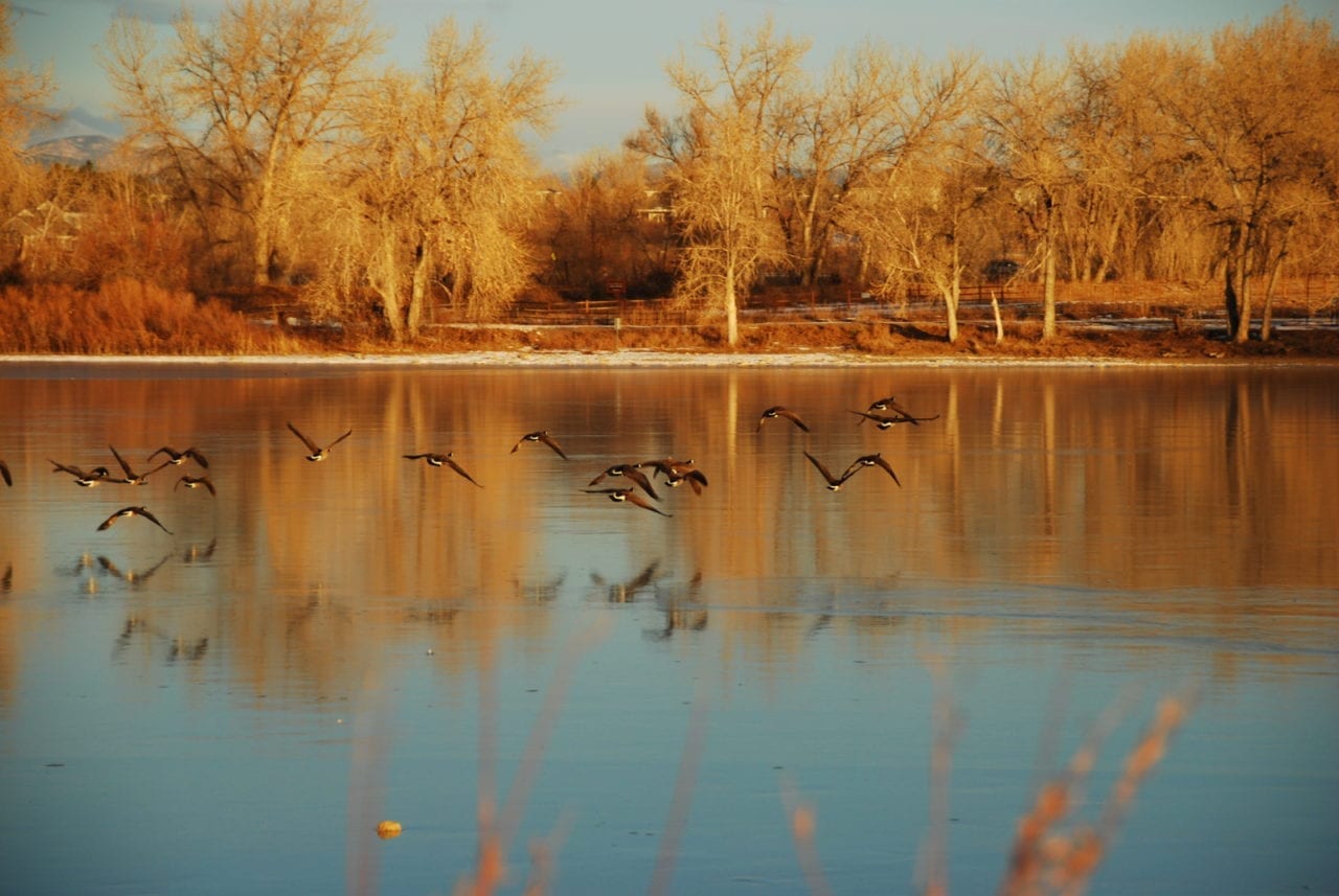 Lafayette, Colorado | Boulder County - Uncover Colorado