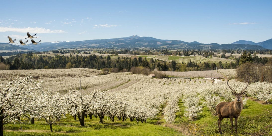 Orchard City, Colorado | Delta County - Uncover Colorado