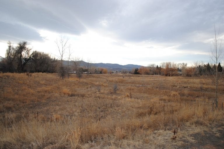 8 Best Day Hikes in Fort Collins, Colorado - Uncover Colorado