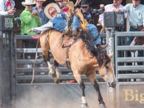 Colorado Rodeos | Annual Western Rodeos and Professional Bull Riding in CO