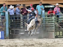 Colorado Rodeos | Annual Western Rodeos and Professional Bull Riding in CO