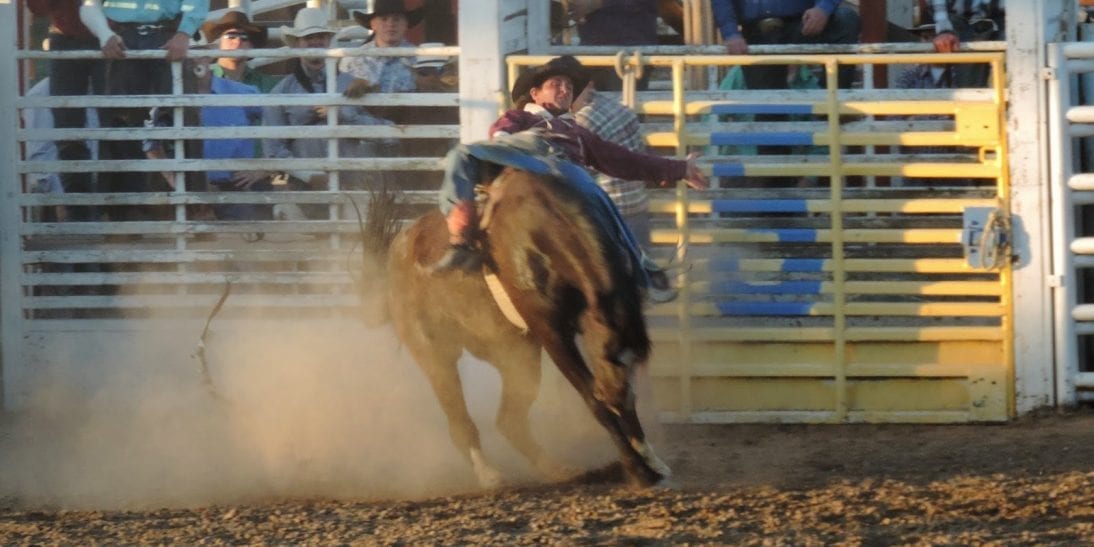 Colorado Rodeos | List + Map - Uncover Colorado