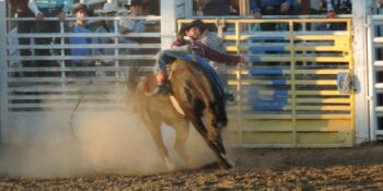 Colorado Rodeos | List + Map - Uncover Colorado