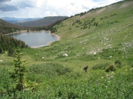 Rawah Wilderness Area - Jelm, CO - Uncover Colorado