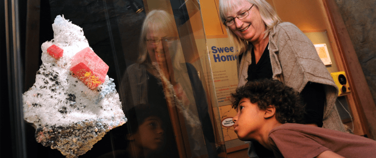 Discover Colorado’s Gold Rush History - Uncover Colorado