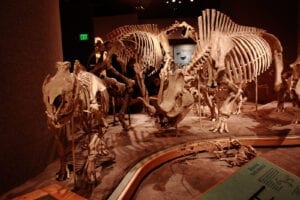 8 Great Museums in Denver - Uncover Colorado