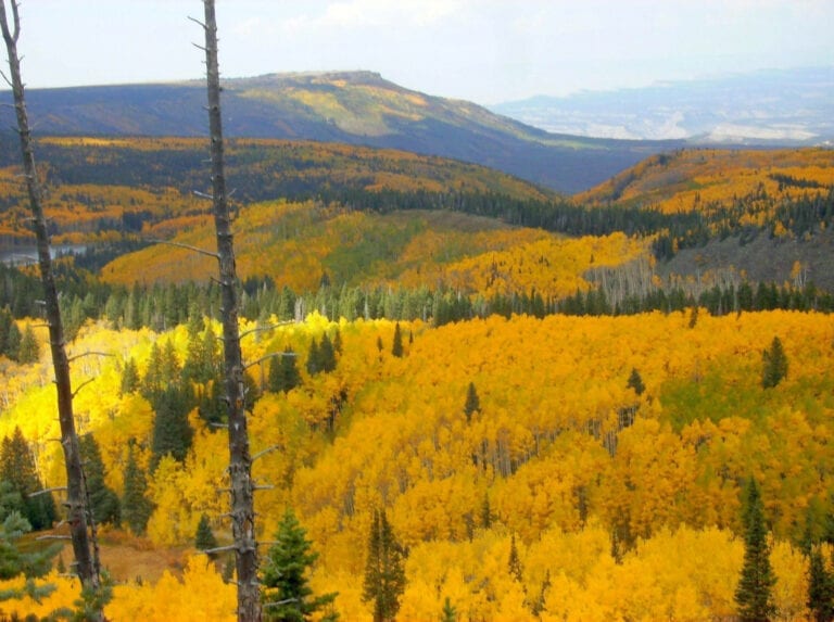 Learn Some Fun Facts about Colorado - Uncover Colorado