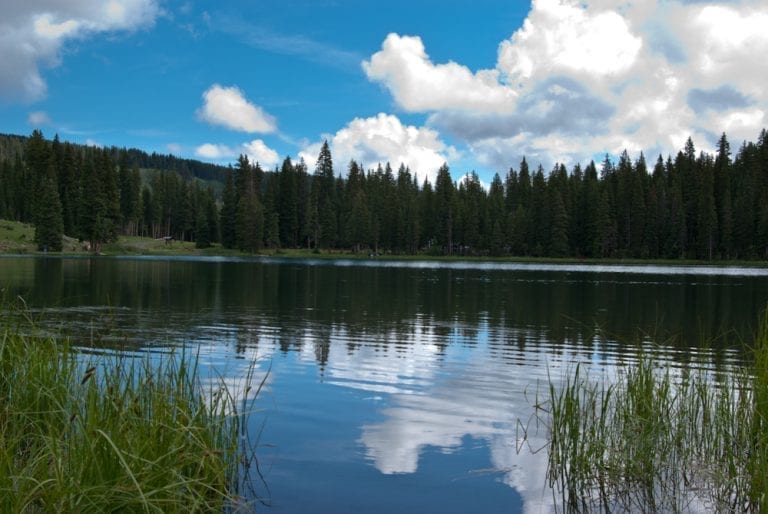 Camping near Cedaredge, Collbran and the Grand Mesa, Colorado - Uncover ...