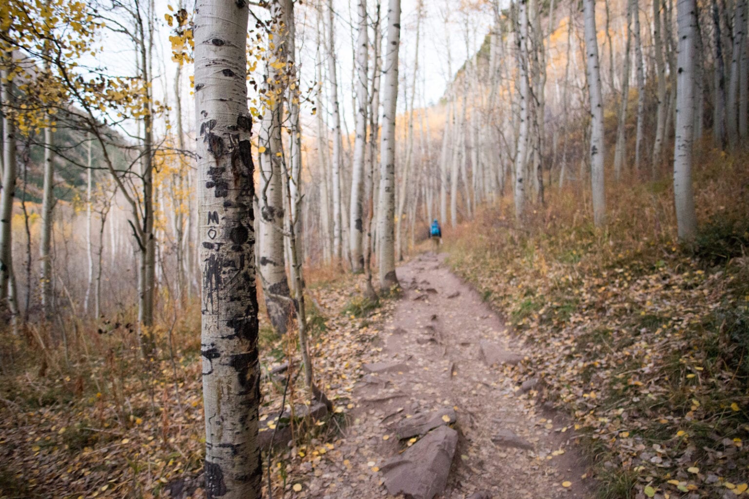 7 Amazing Hikes Around Aspen, Colorado - Uncover Colorado