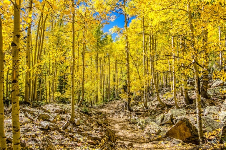 Best Beginner Hiking Trails in Colorado | Easy Hikes - Uncover Colorado