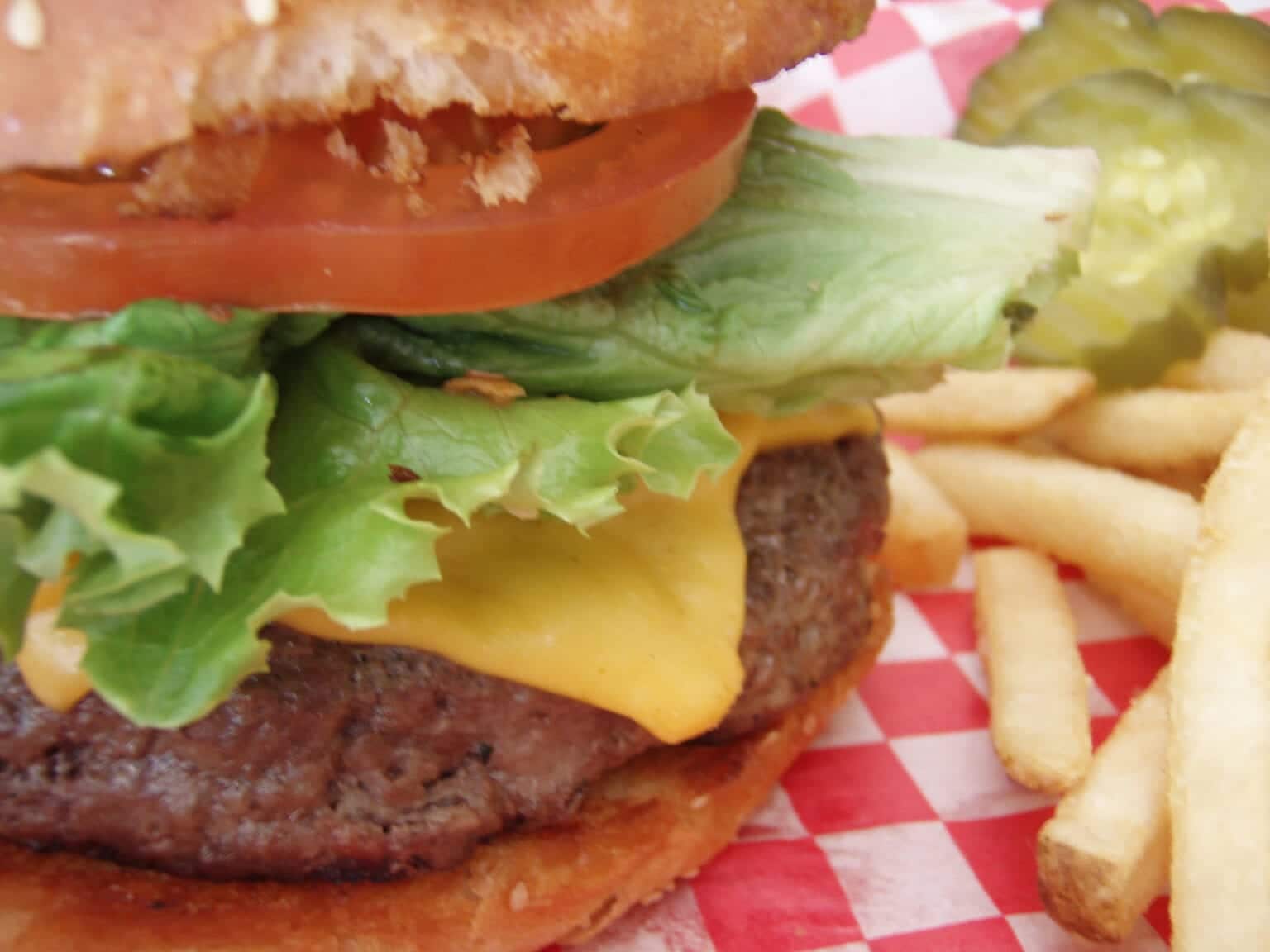 Learn Some Fun Facts about Colorado - Uncover Colorado