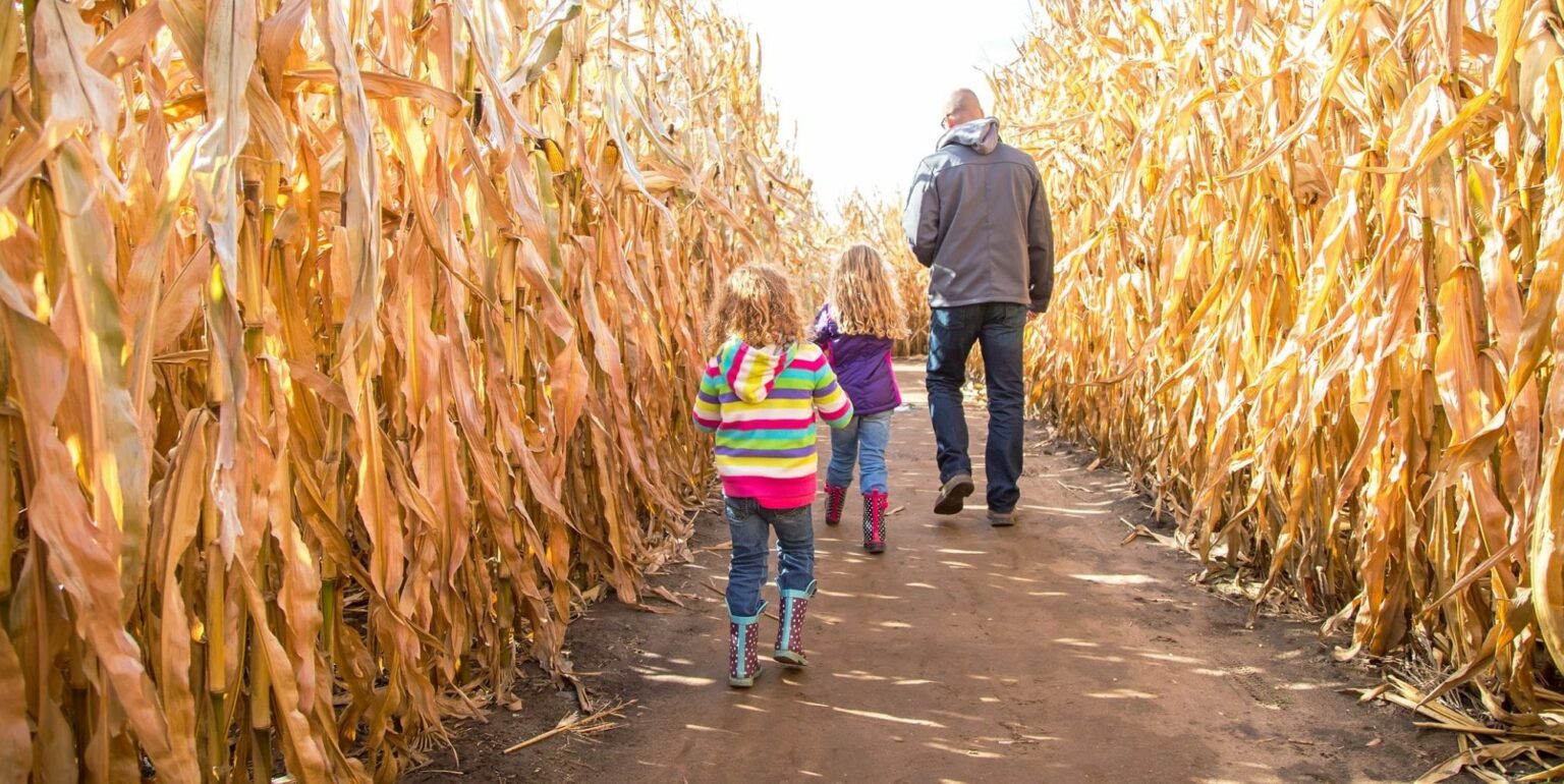 8 Captivating Corn Mazes Around Denver, CO | Top Pumpkin Patches near ...