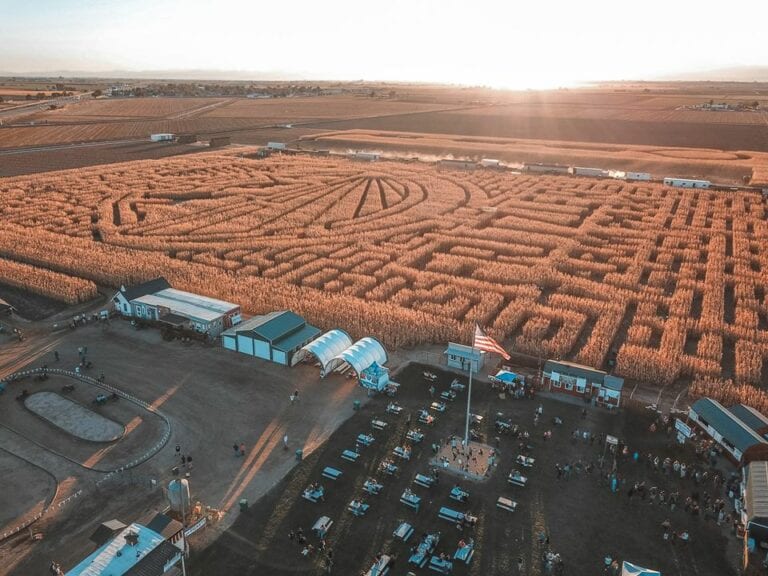 8 Captivating Corn Mazes Around Denver, CO | Top Pumpkin Patches near ...