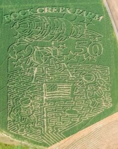 8 Captivating Corn Mazes Around Denver, CO | Top Pumpkin Patches near ...