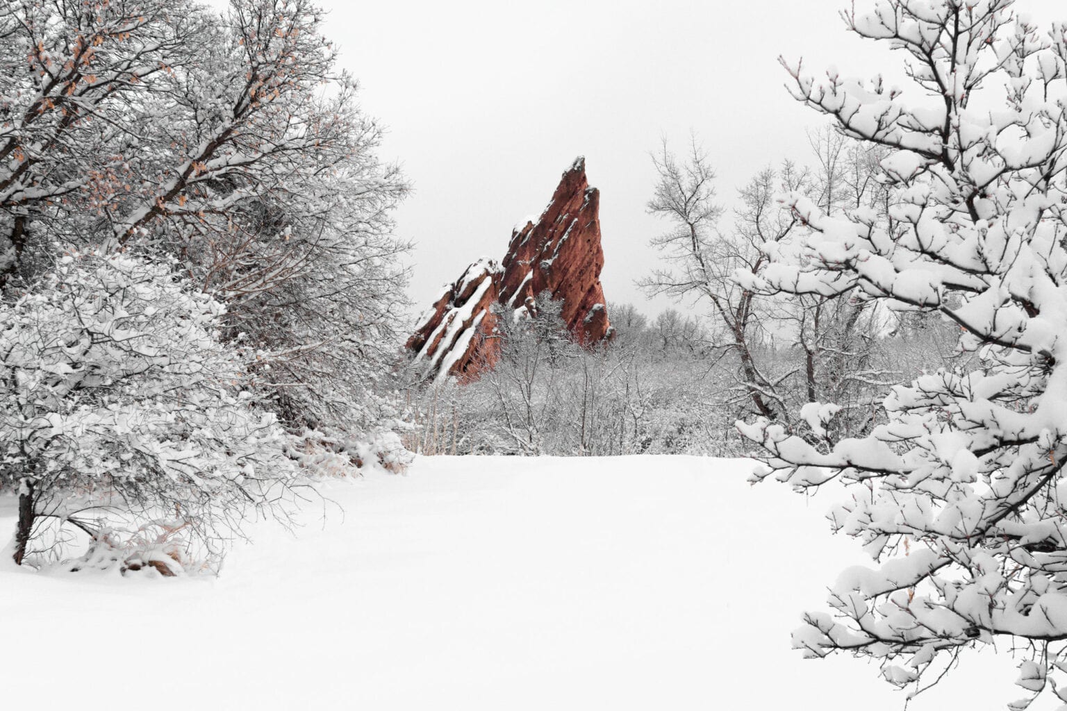 Things to do in January in Colorado | | 2025 Activities - Uncover Colorado