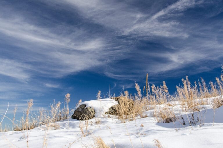 8 Best Public Parks of Colorado Springs - Uncover Colorado