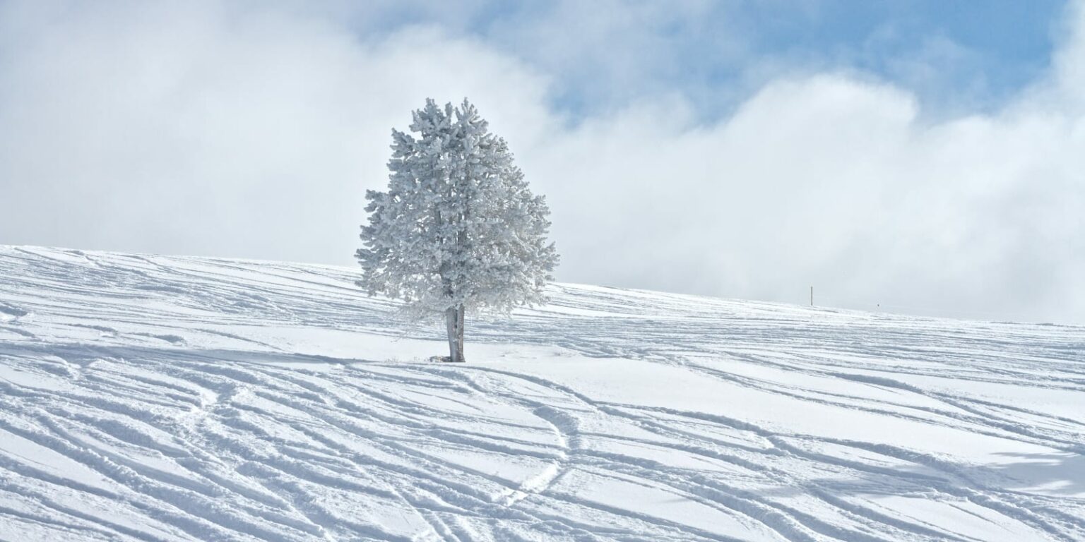 10 Wonderful Winter Vacation Spots in Colorado | Winter Vacation Ideas ...