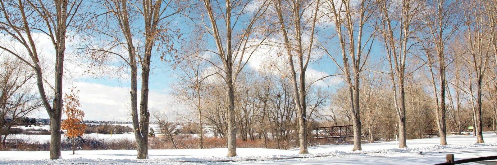 Free Colorado Travel Guide | Vacations, Travel and Tourism in CO