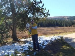 8 Weird Laws in Colorado | Strange, Random, Unique and Crazy Rules ...